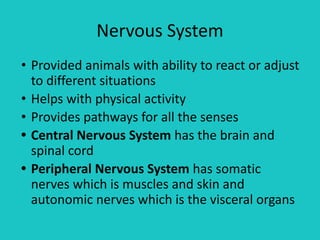 Anatomy-of-Livestock and Internal Structures for animal systems | PDF