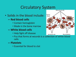 Anatomy-of-Livestock and Internal Structures for animal systems | PDF