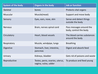Anatomy-of-Livestock and Internal Structures for animal systems | PDF