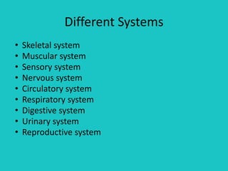 Anatomy-of-Livestock and Internal Structures for animal systems | PDF