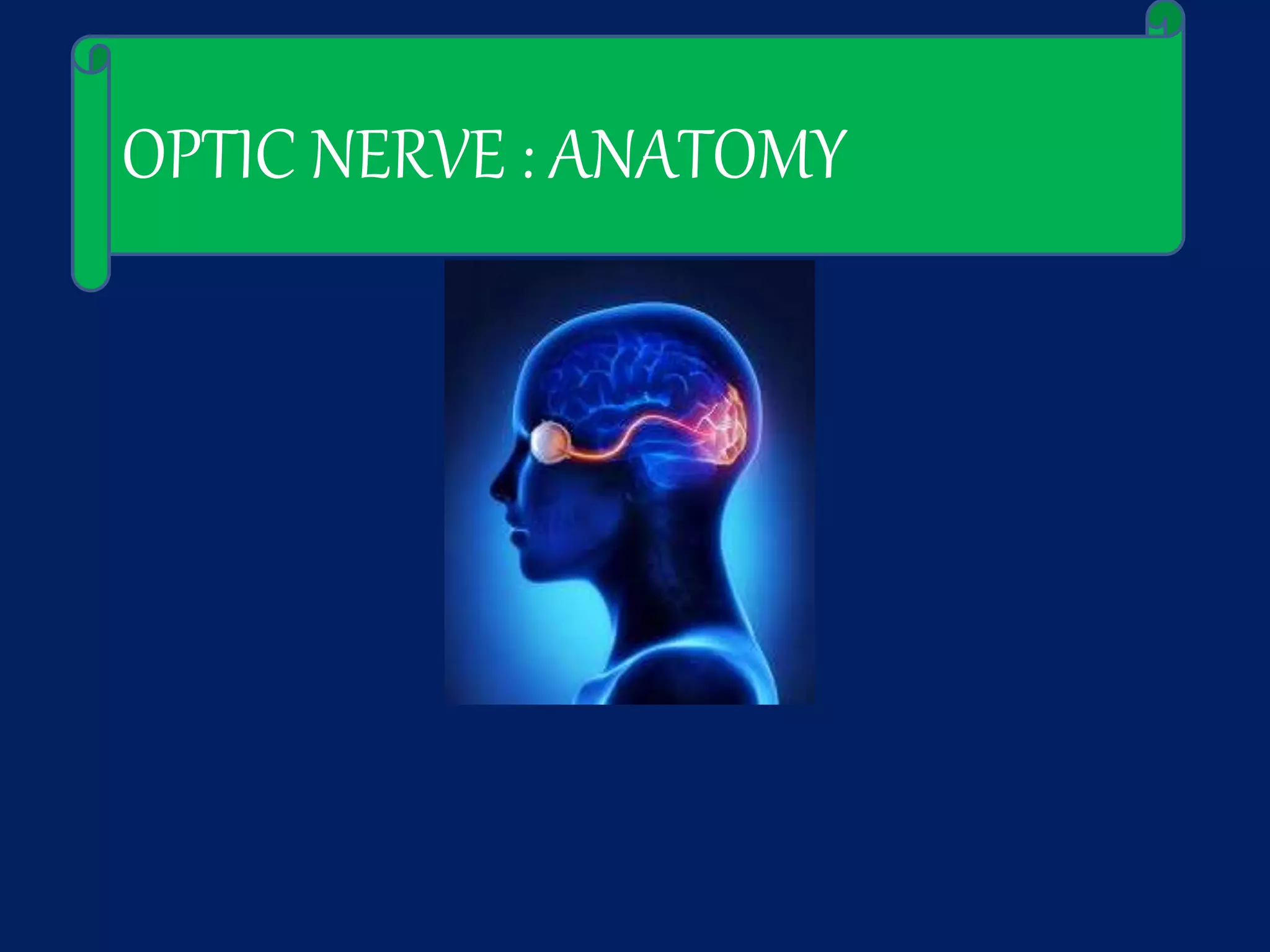 Anatomy of Optic Nerve | PPTX