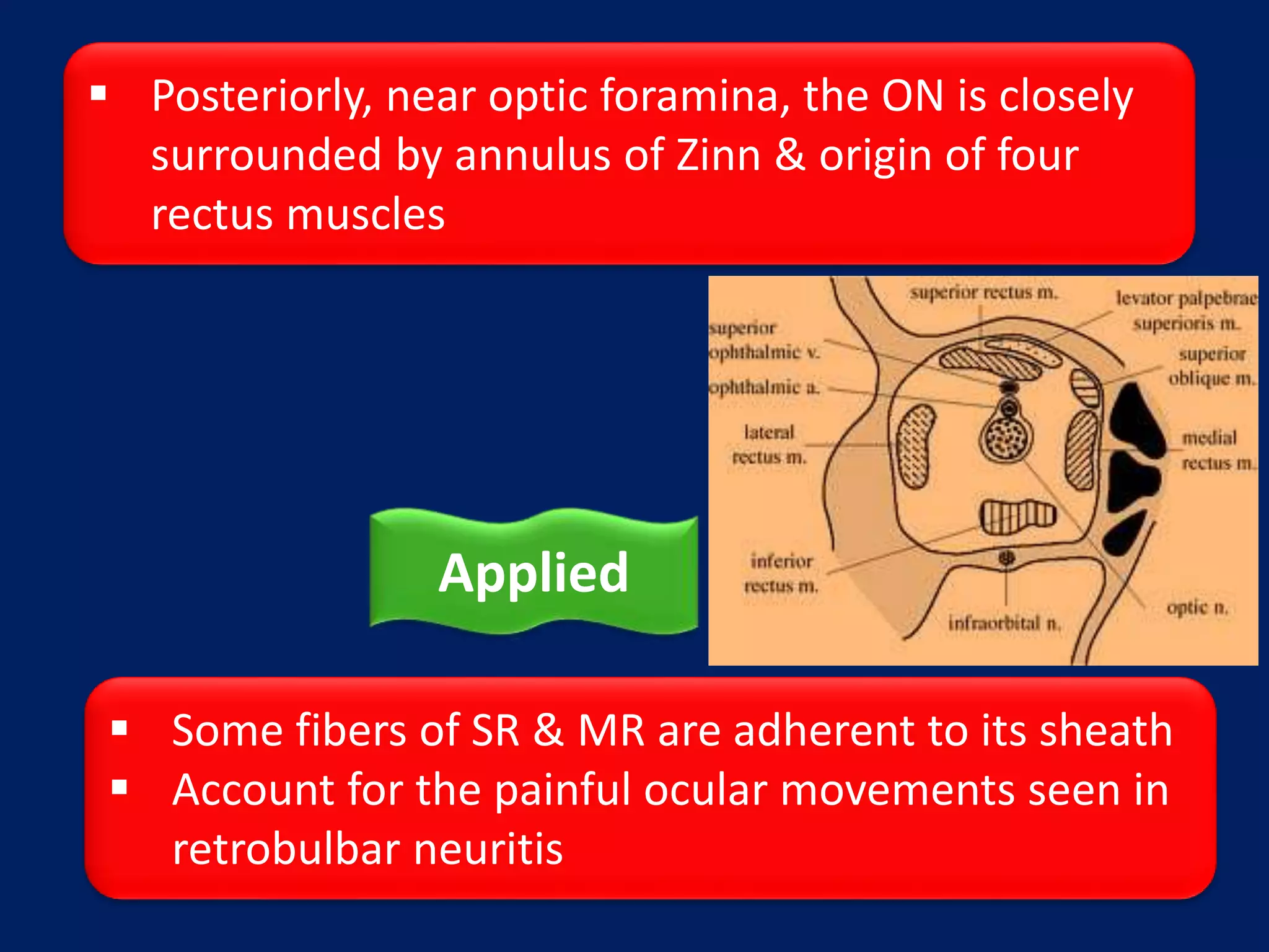 Anatomy of Optic Nerve | PPTX