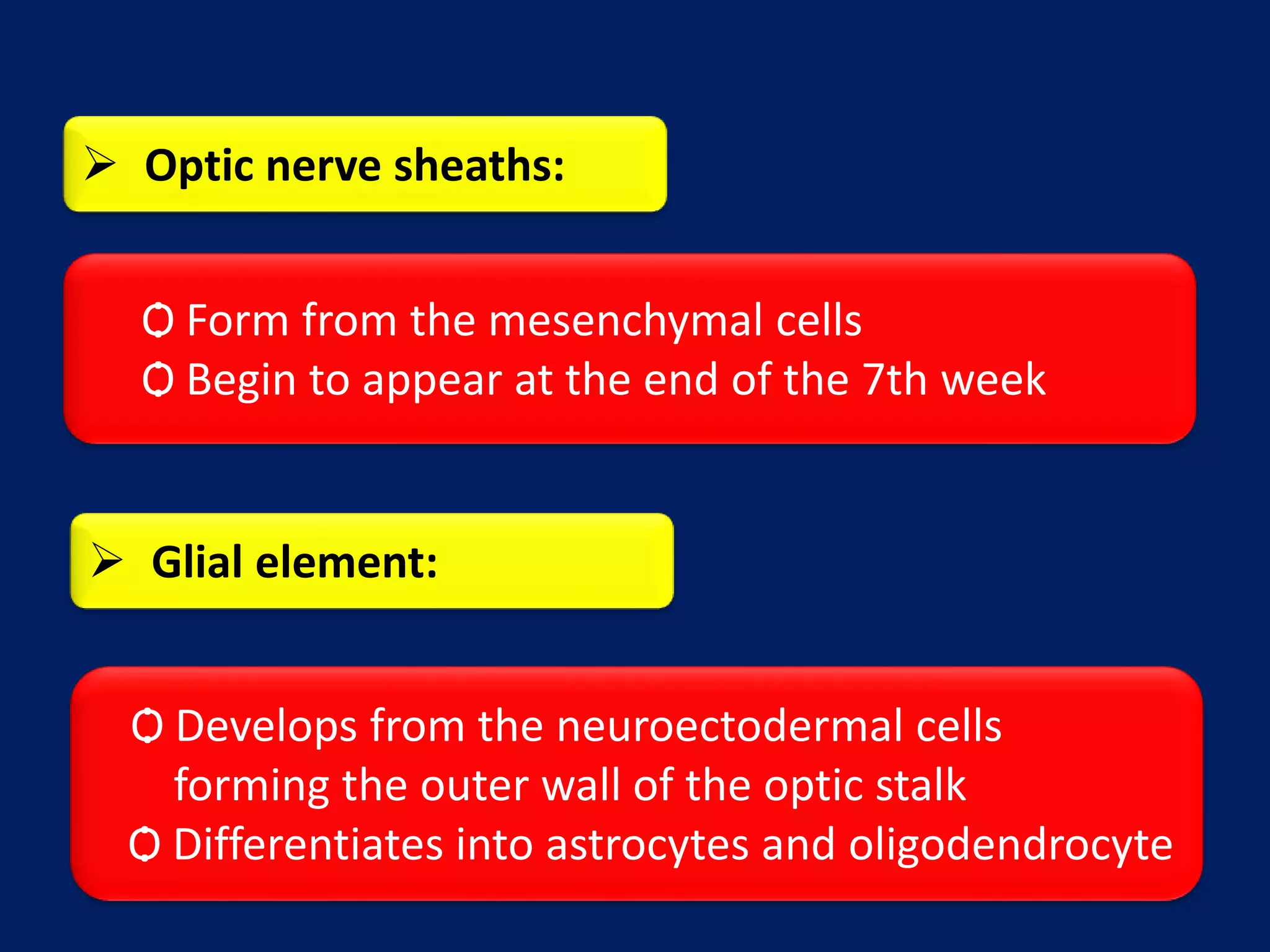 Anatomy of Optic Nerve | PPTX