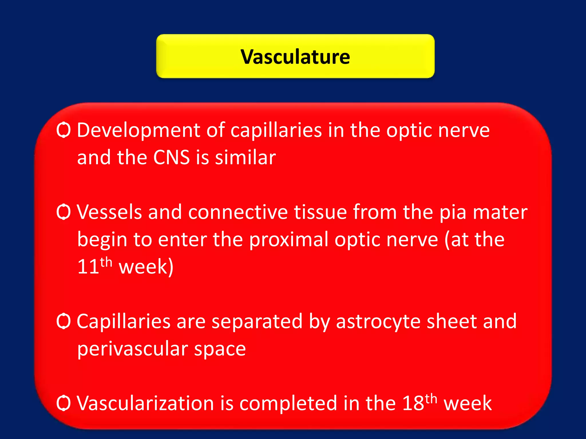 Anatomy of Optic Nerve | PPTX