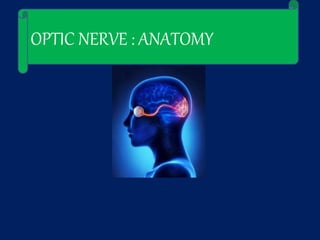 Anatomy of Optic Nerve | PPTX