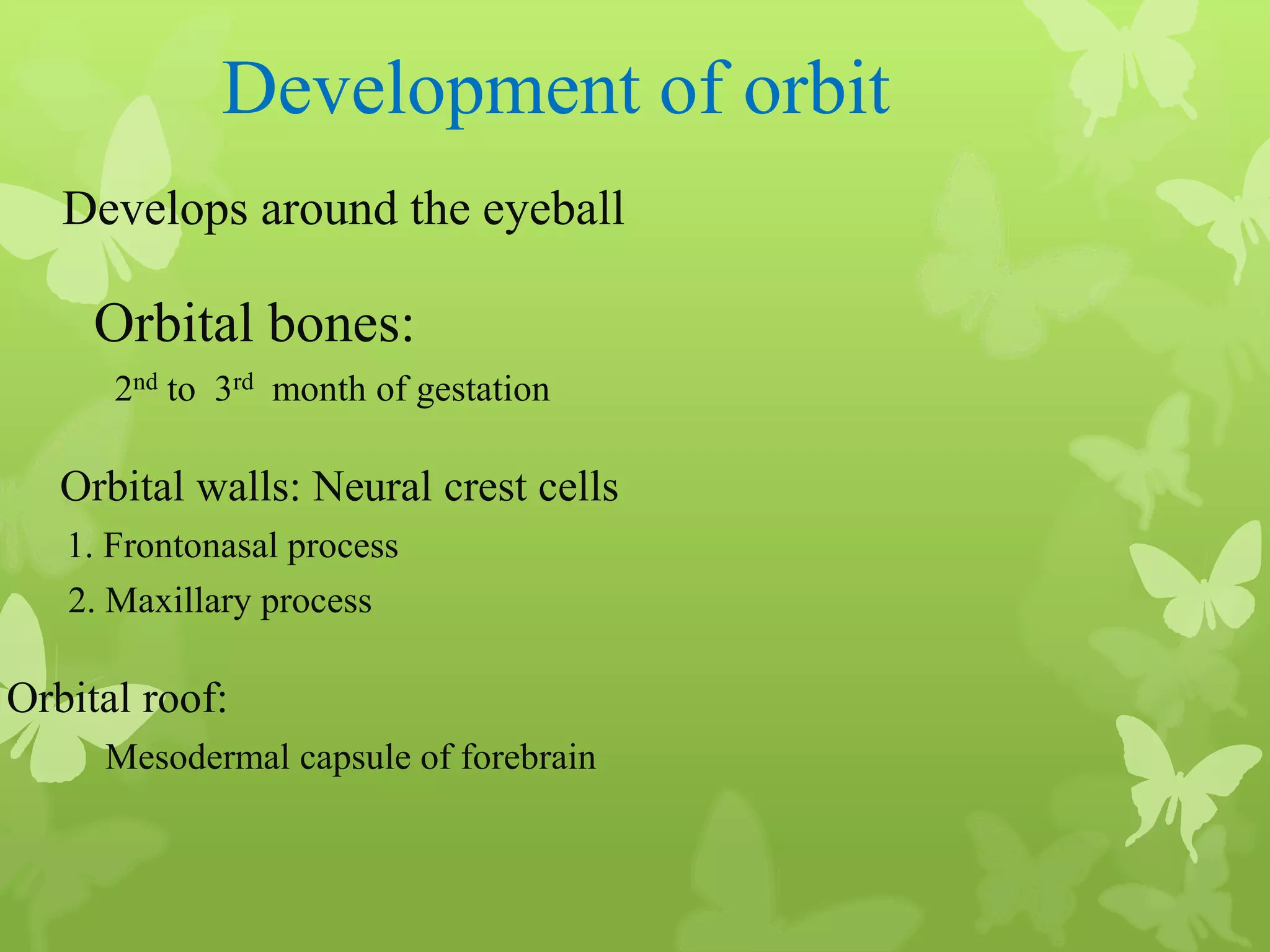 Anatomy of Eye Orbit | PPTX