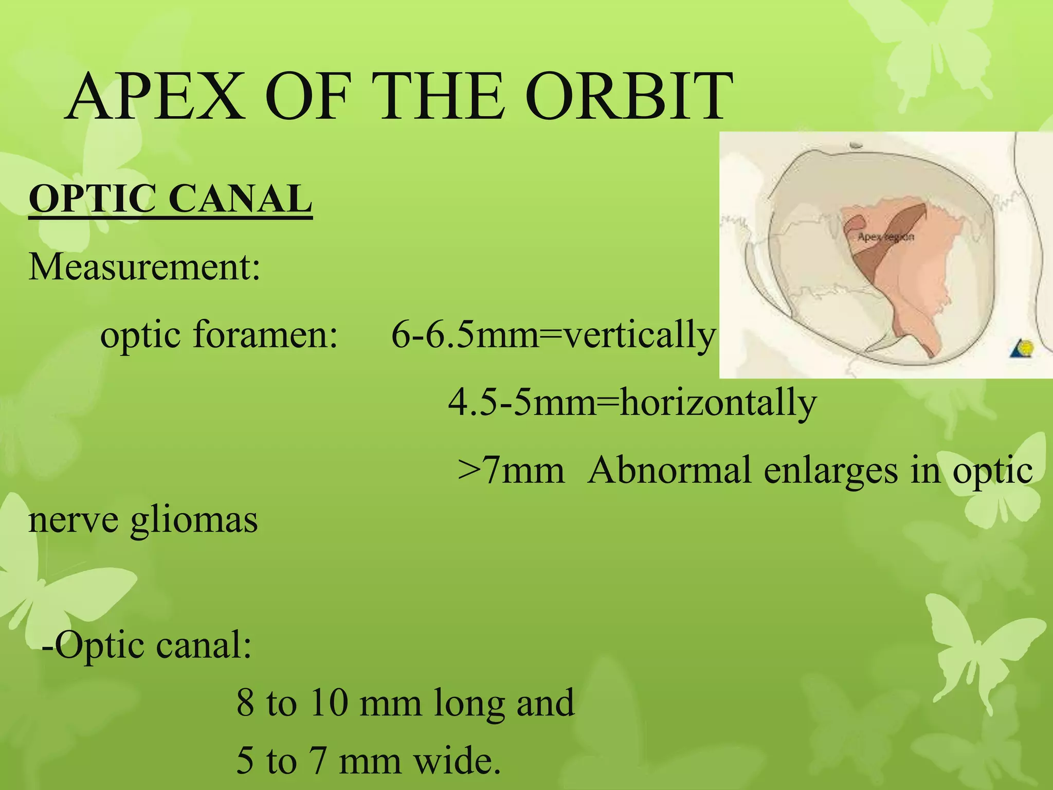 Anatomy of Eye Orbit | PPTX