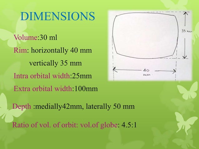 Anatomy of Eye Orbit | PPTX
