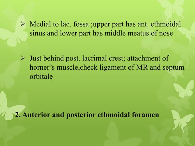 Anatomy of Eye Orbit | PPTX