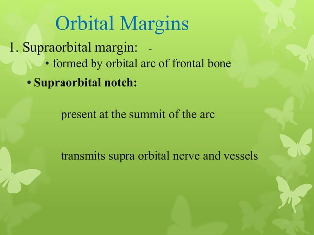 Anatomy of Eye Orbit | PPTX