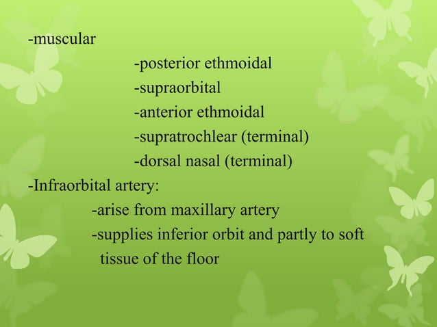 Anatomy of Eye Orbit | PPT