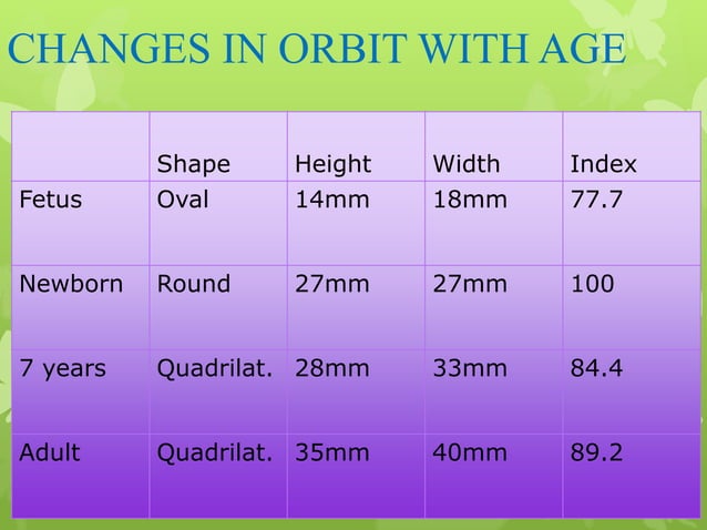 Anatomy of Eye Orbit | PPTX