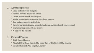 Anatomy-of-Scapula.pptxand ossification l | PPTX