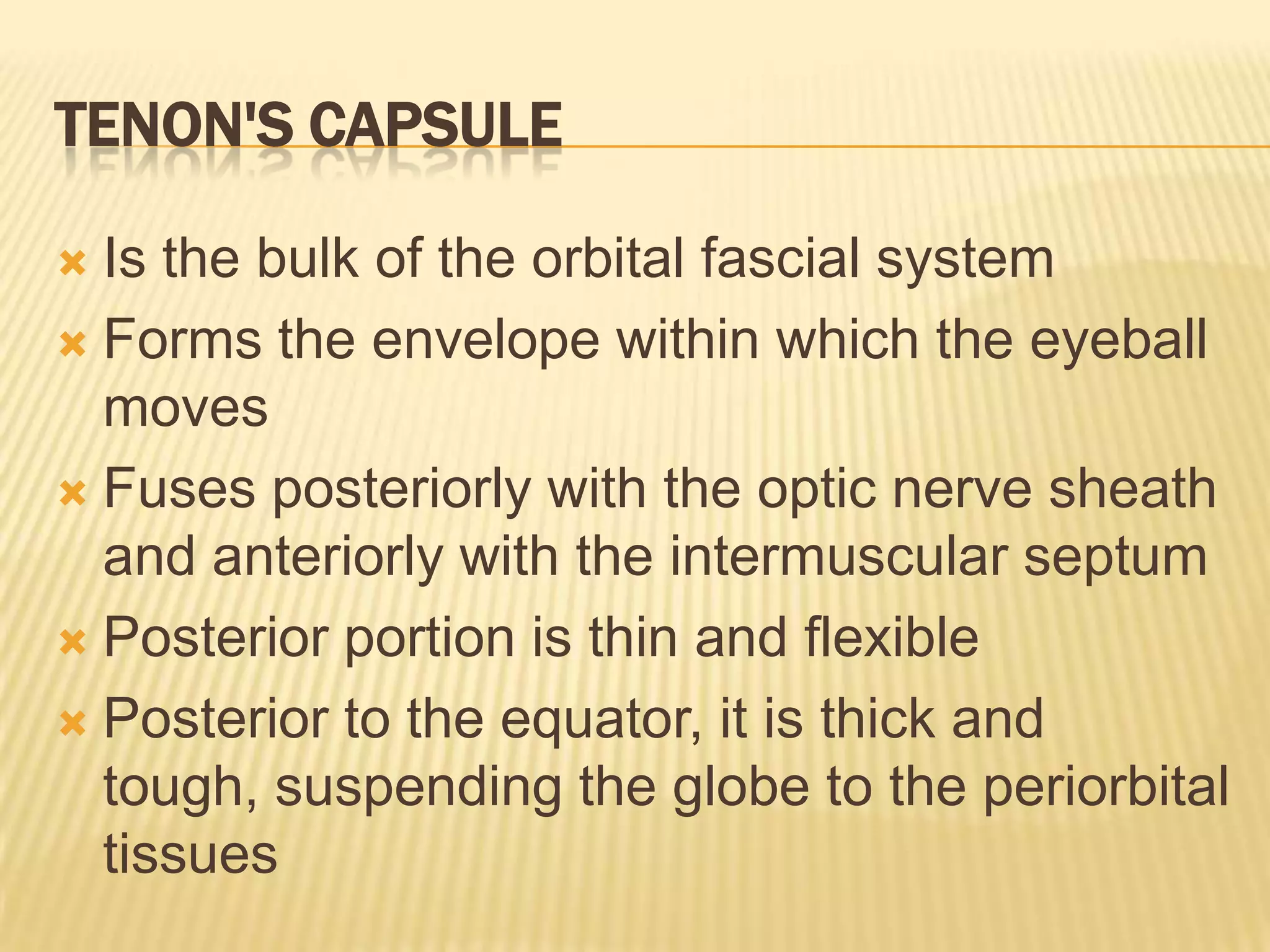 Anatomy of-the-extraocular-muscles-1390-2011 | PPSX