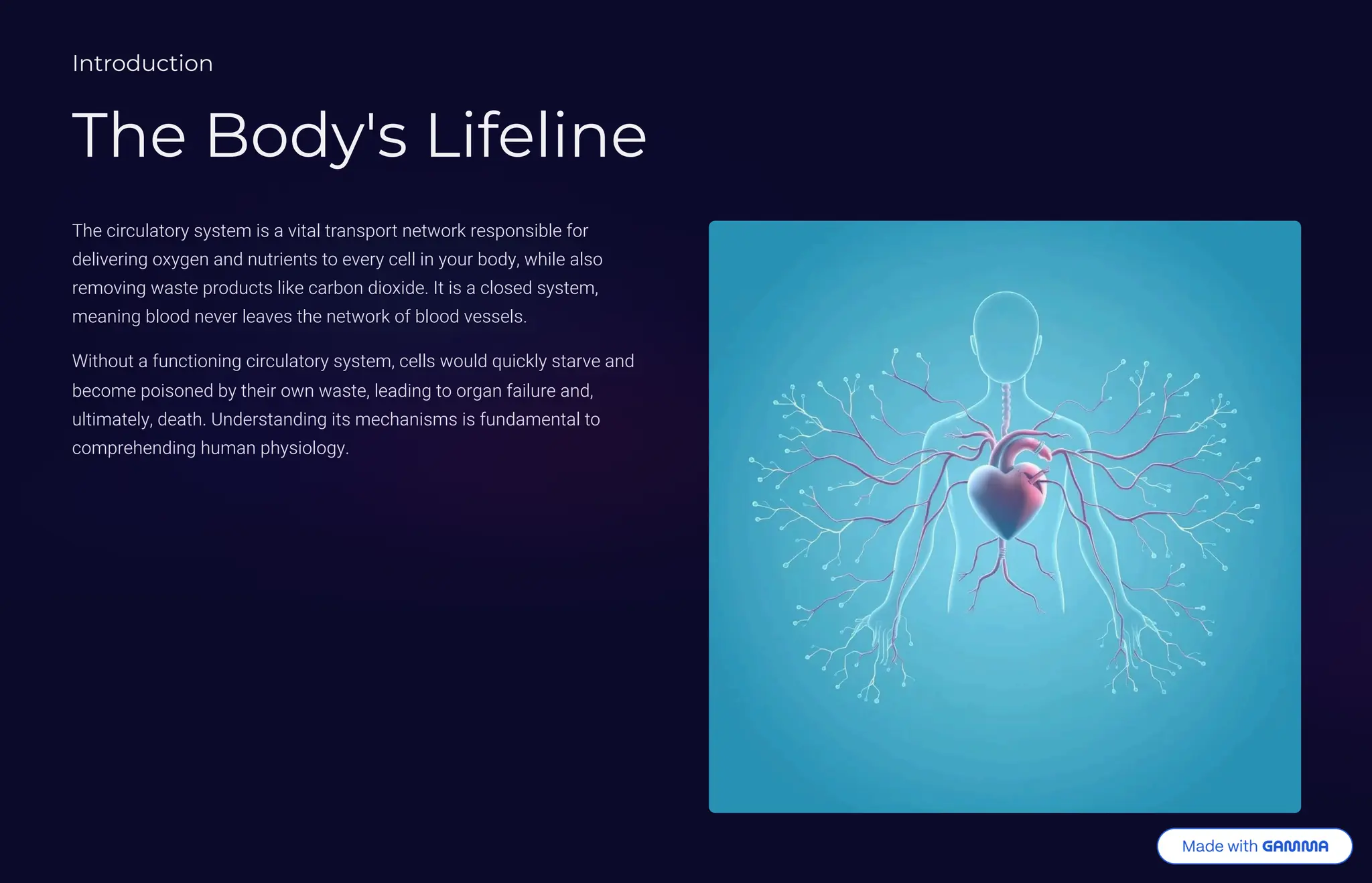 Anatomy-of-the-Heart-and-Circulatory-System.pdf