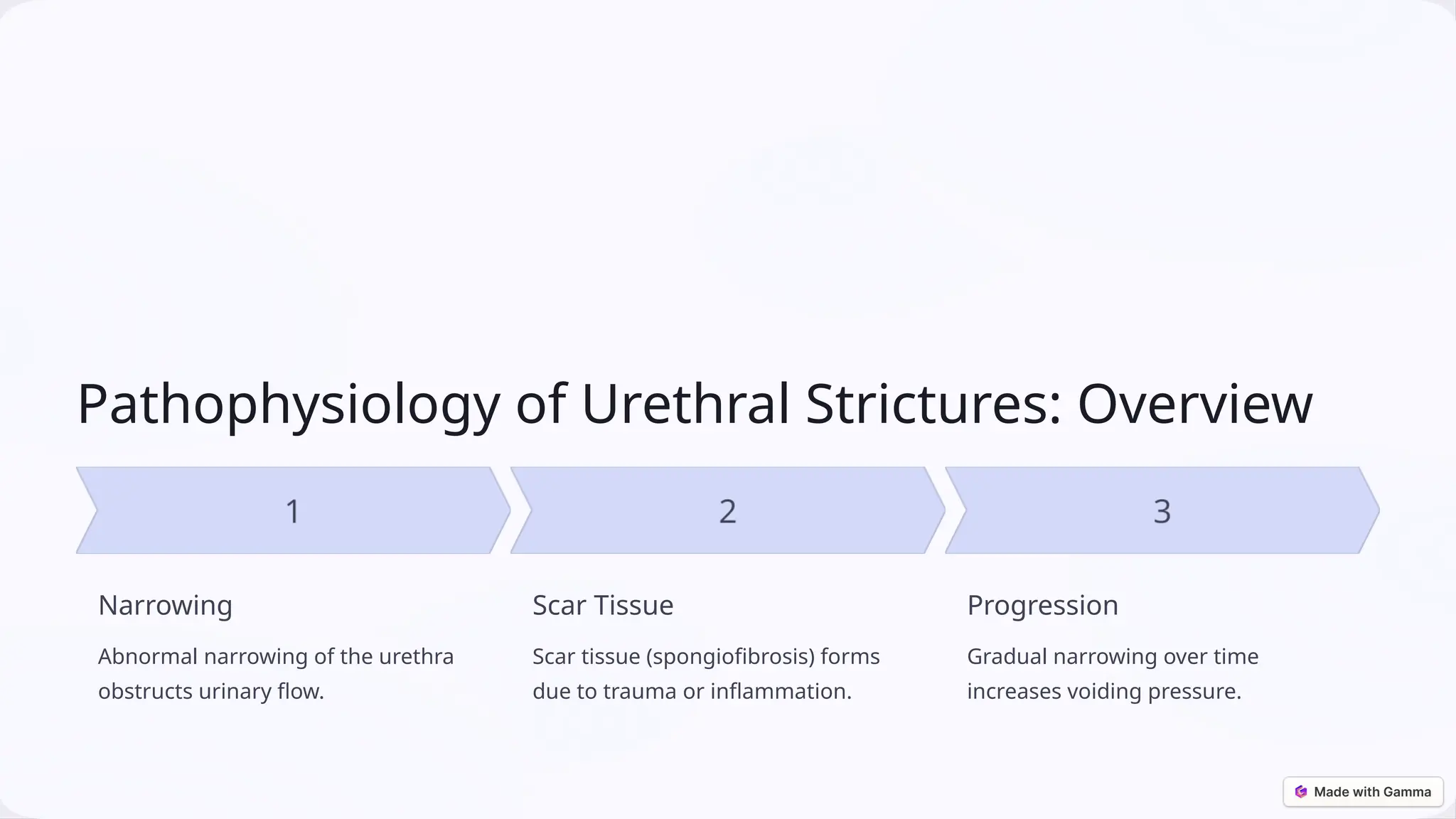 Anatomy-of-the-Male-Urethra and Disease progression | PPTX