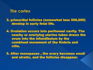 anatomy-of-the-ovaries-last.power poin presentation | PPTX