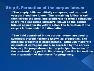 anatomy-of-the-ovaries-last.power poin presentation | PPTX