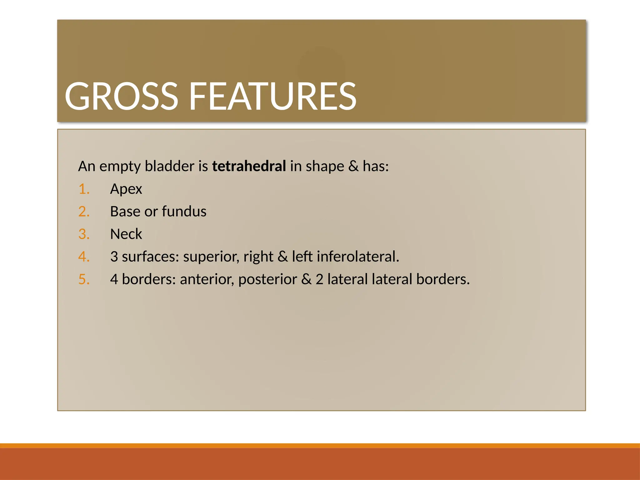 Anatomy-of-Urinary-Bladder of human body.pptx