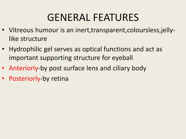 Anatomy of vitreous | PPTX | Eye and Vision Conditions | Diseases and ...