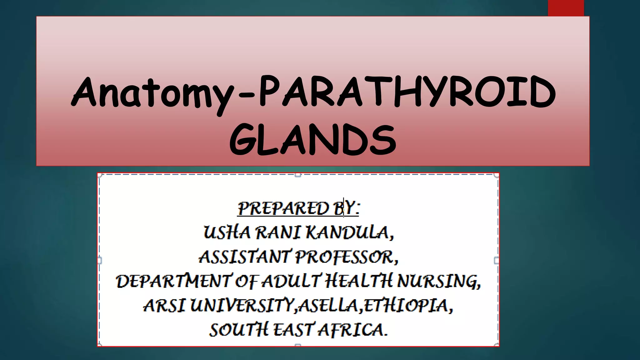 Anatomy - parathyroid glands | PPTX