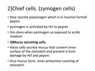 Anatomy-_-physi-WPS-Office.doc