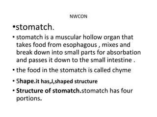 Anatomy-_-physi-WPS-Office.doc