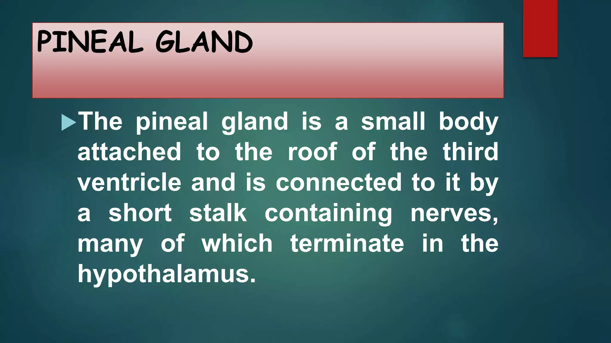 Anatomy - pineal gland or body | PPTX