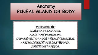 Anatomy - pineal gland or body | PPTX