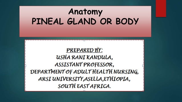 Anatomy - pineal gland or body | PPTX