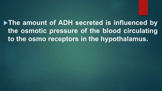 Anatomy - posterior pituitary hormones | PPTX