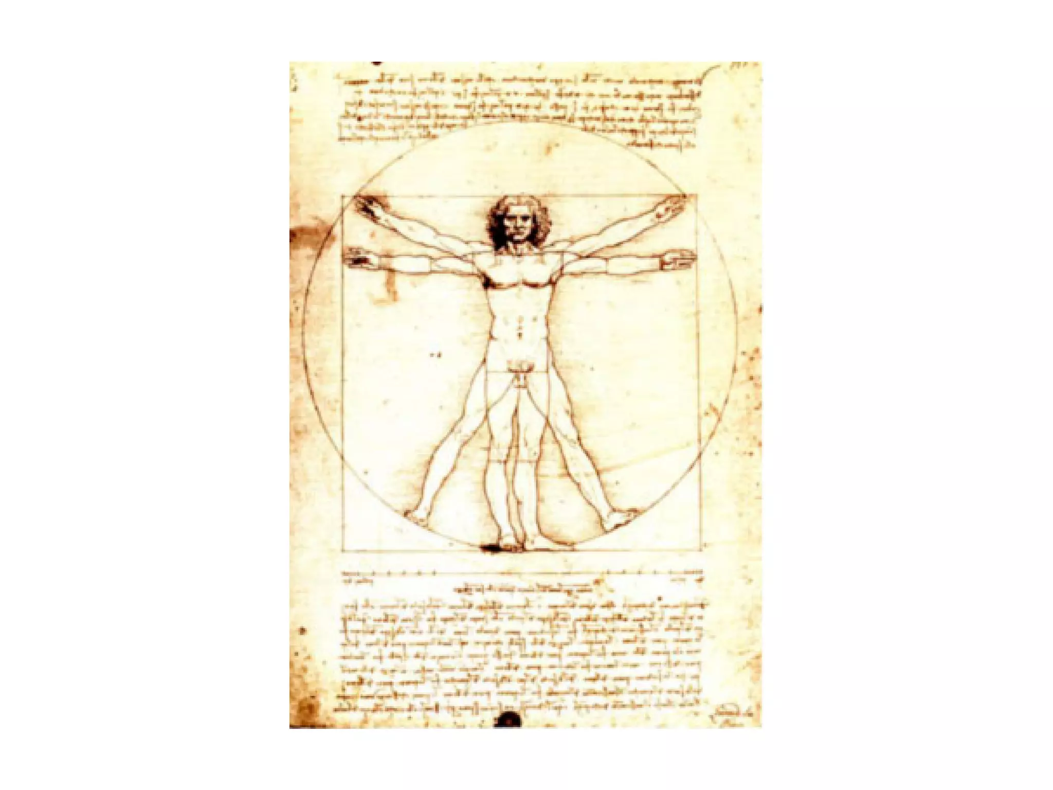 Anatomy Powerpoint | PPT