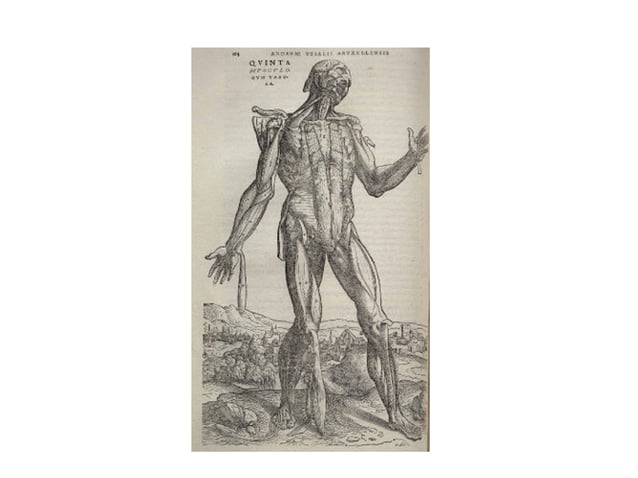 Anatomy Powerpoint | PPT