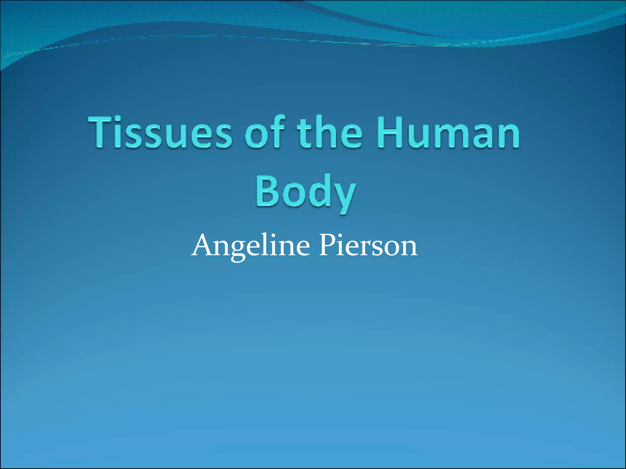 Anatomy Presentation Part 1 | PPT