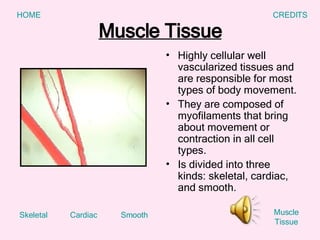 Anatomy Project | PPT