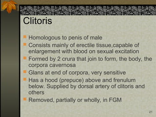 Anatomy-Reproductive - female and male.ppt