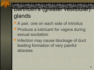 Anatomy-Reproductive - female and male.ppt