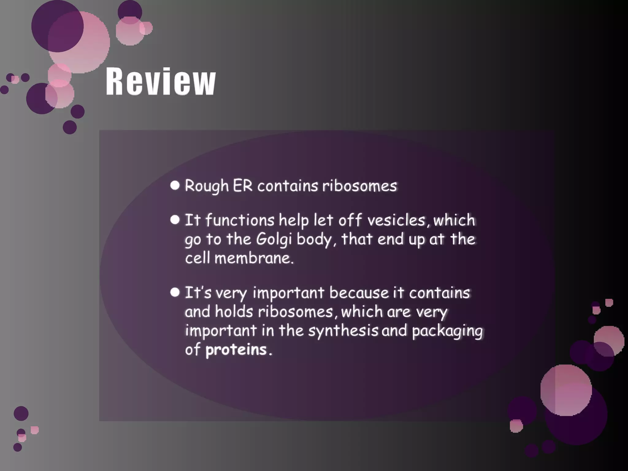 Anatomy - Rough ER | PPT