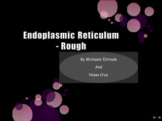 Anatomy - Rough ER | PPT