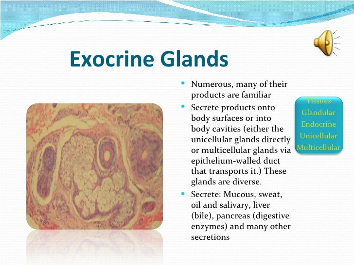 Anatomy Slideshow Part 2