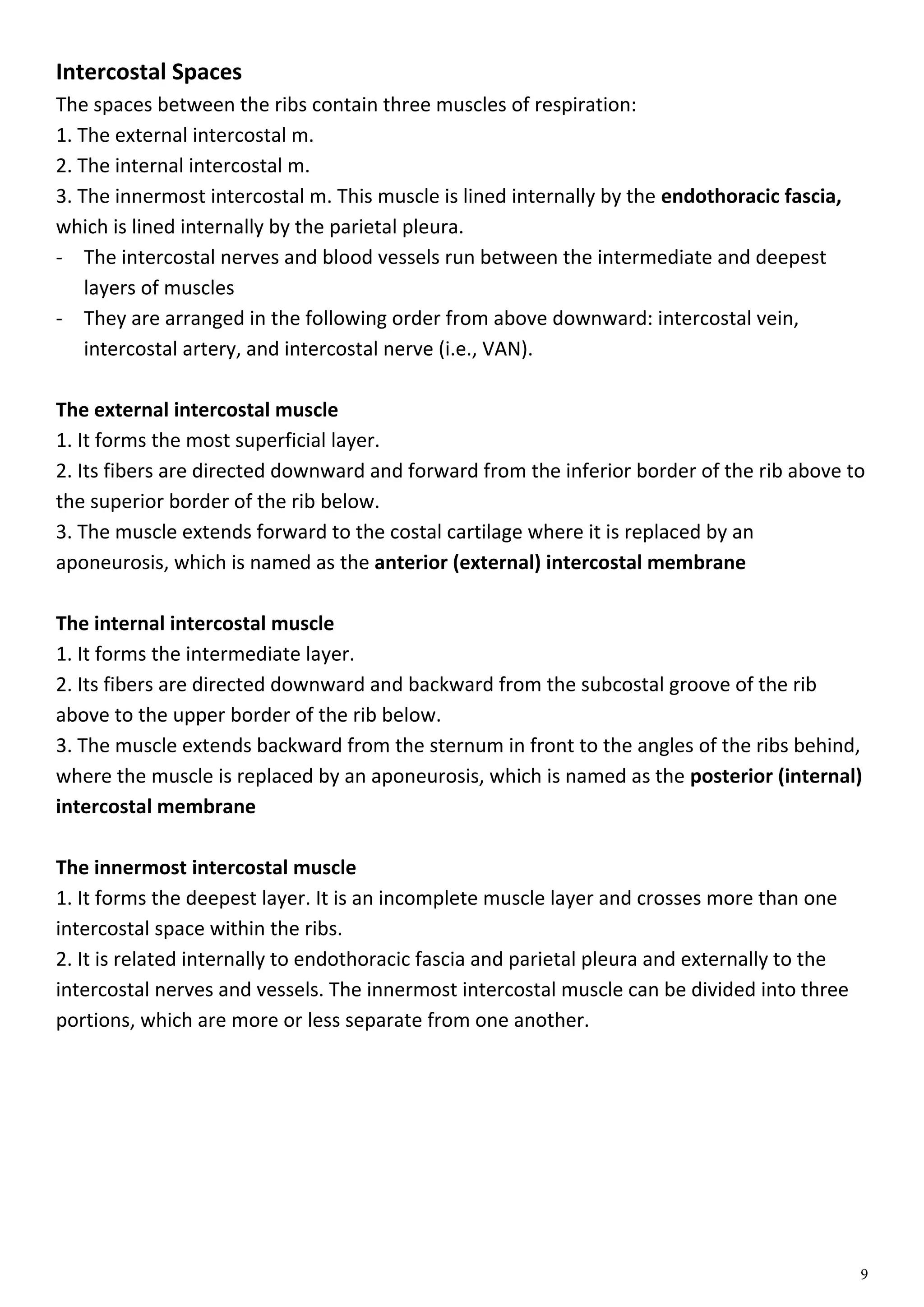 Anatomy thorax | PDF