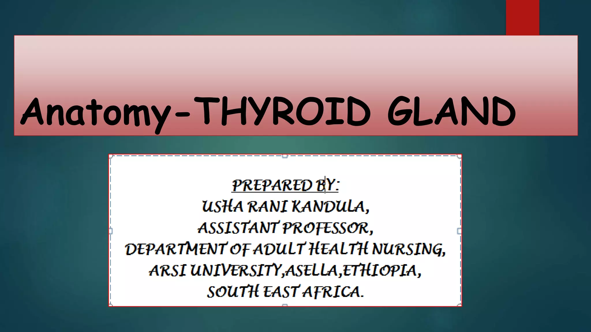 Anatomy -Thyroid gland | PPTX