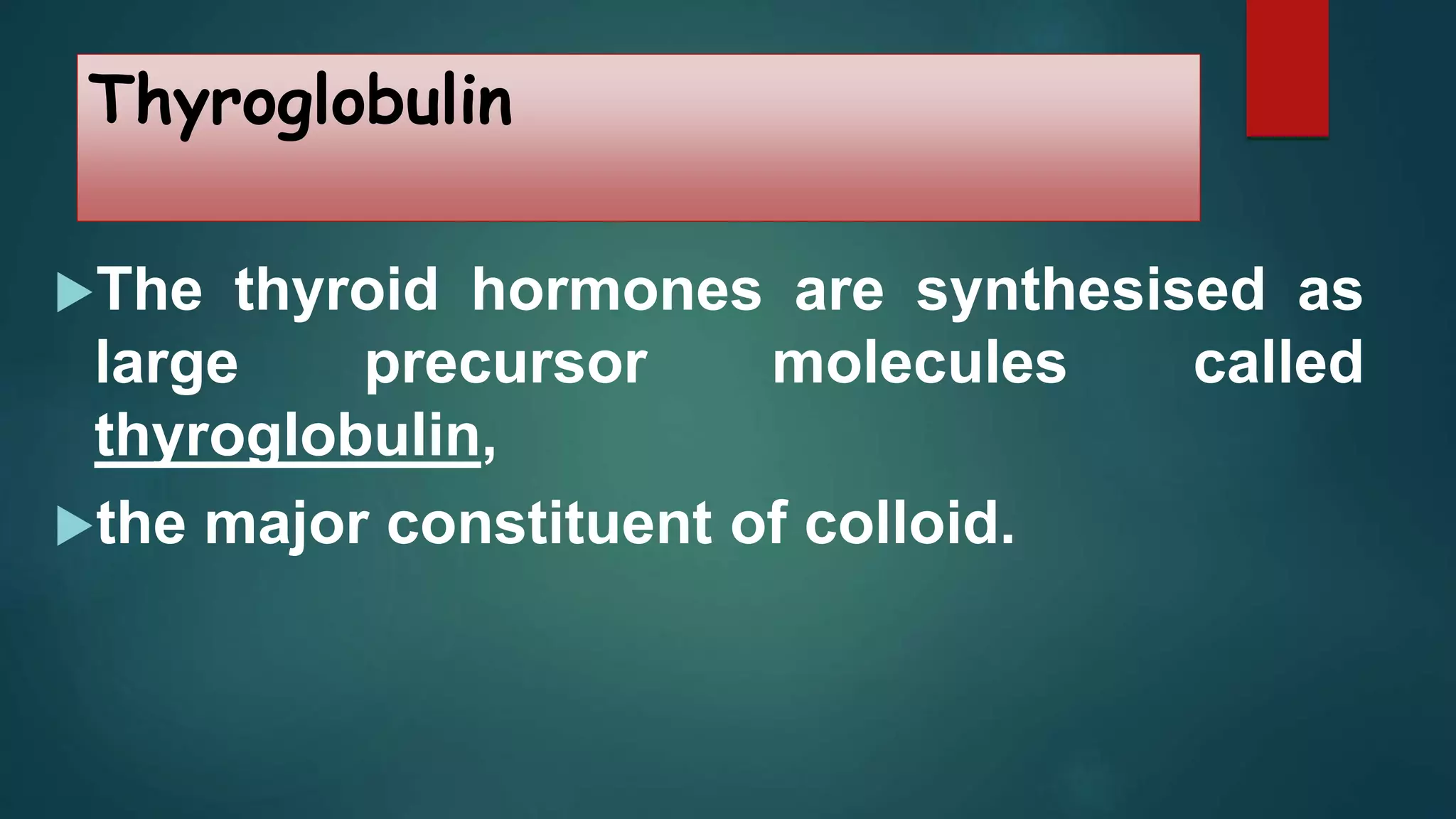 Anatomy -Thyroid gland | PPTX