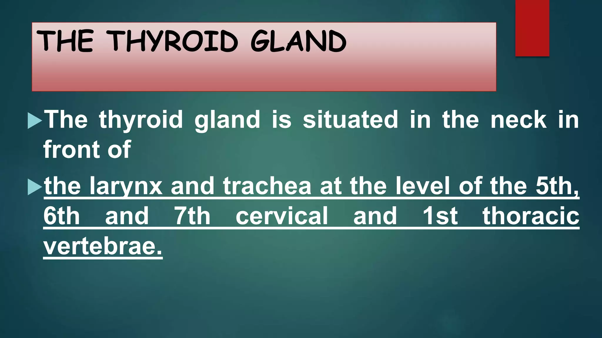 Anatomy -Thyroid gland | PPTX