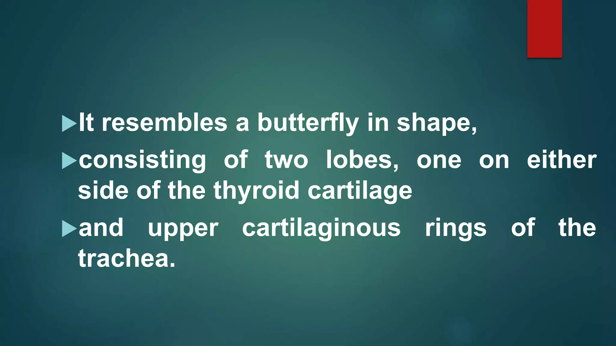 Anatomy -Thyroid gland | PPTX