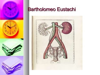 Anatomy Time Machine | PPT