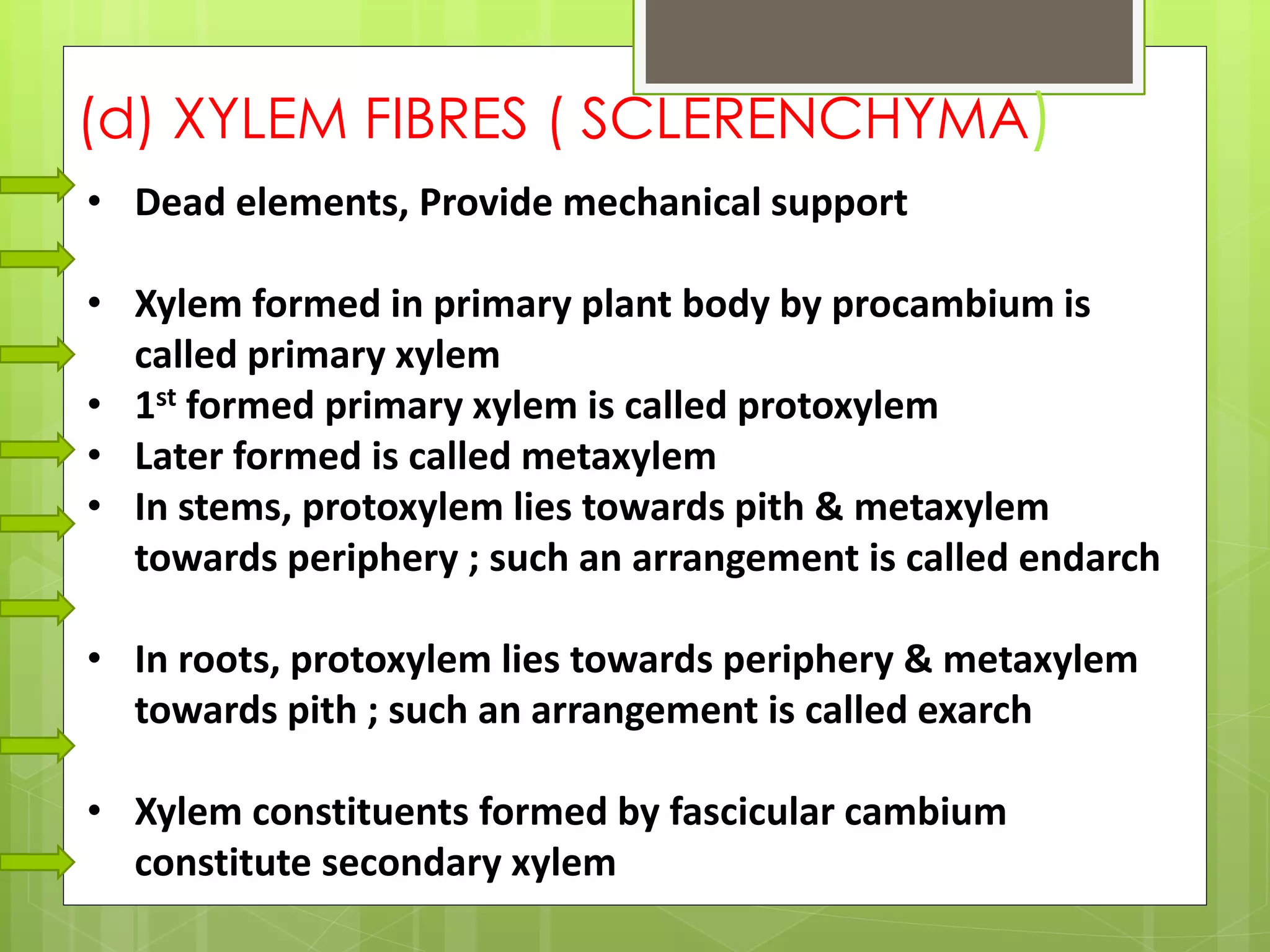 Plant Anatomy types tissue | PDF