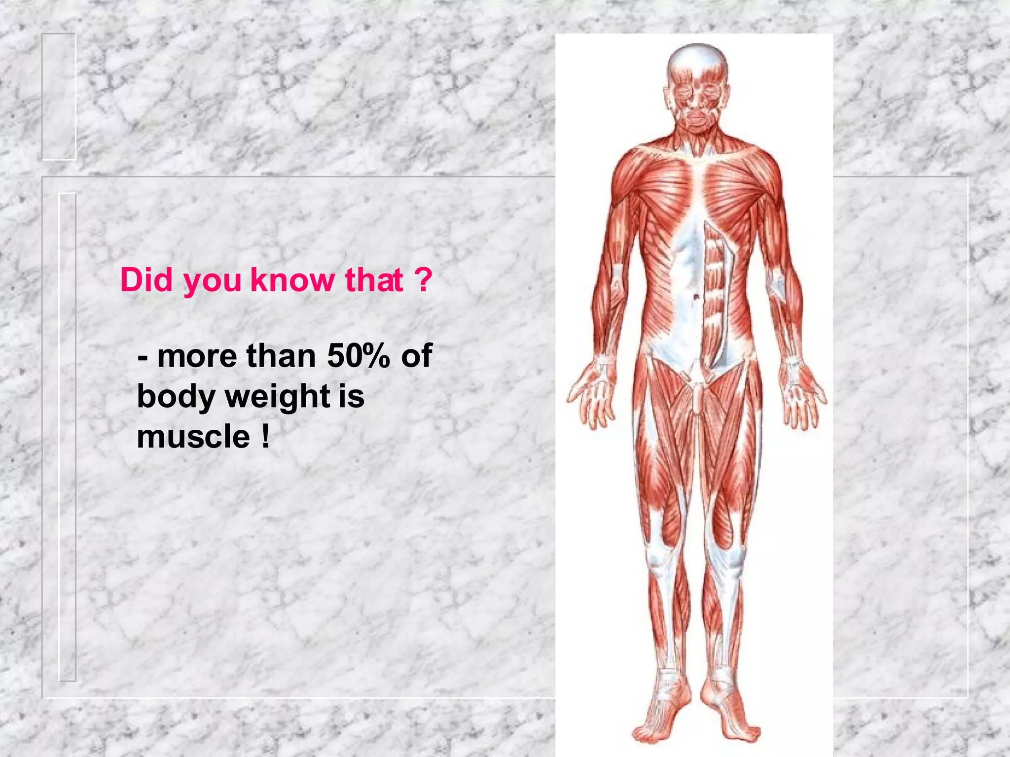 Muscular System Overview | PPT