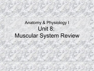 Muscular System Overview | PPT