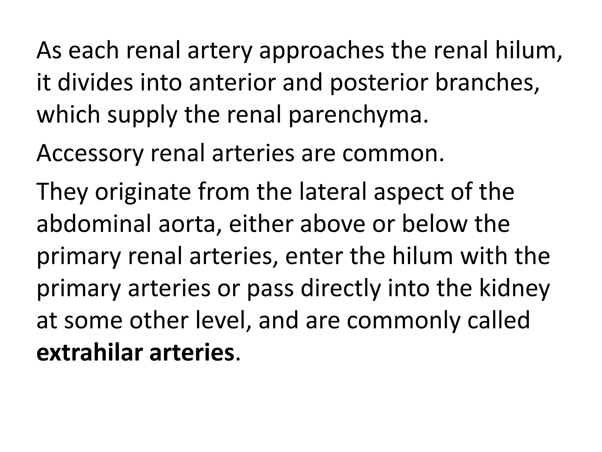 Anatomy-Urinary-System-part-I.pptx